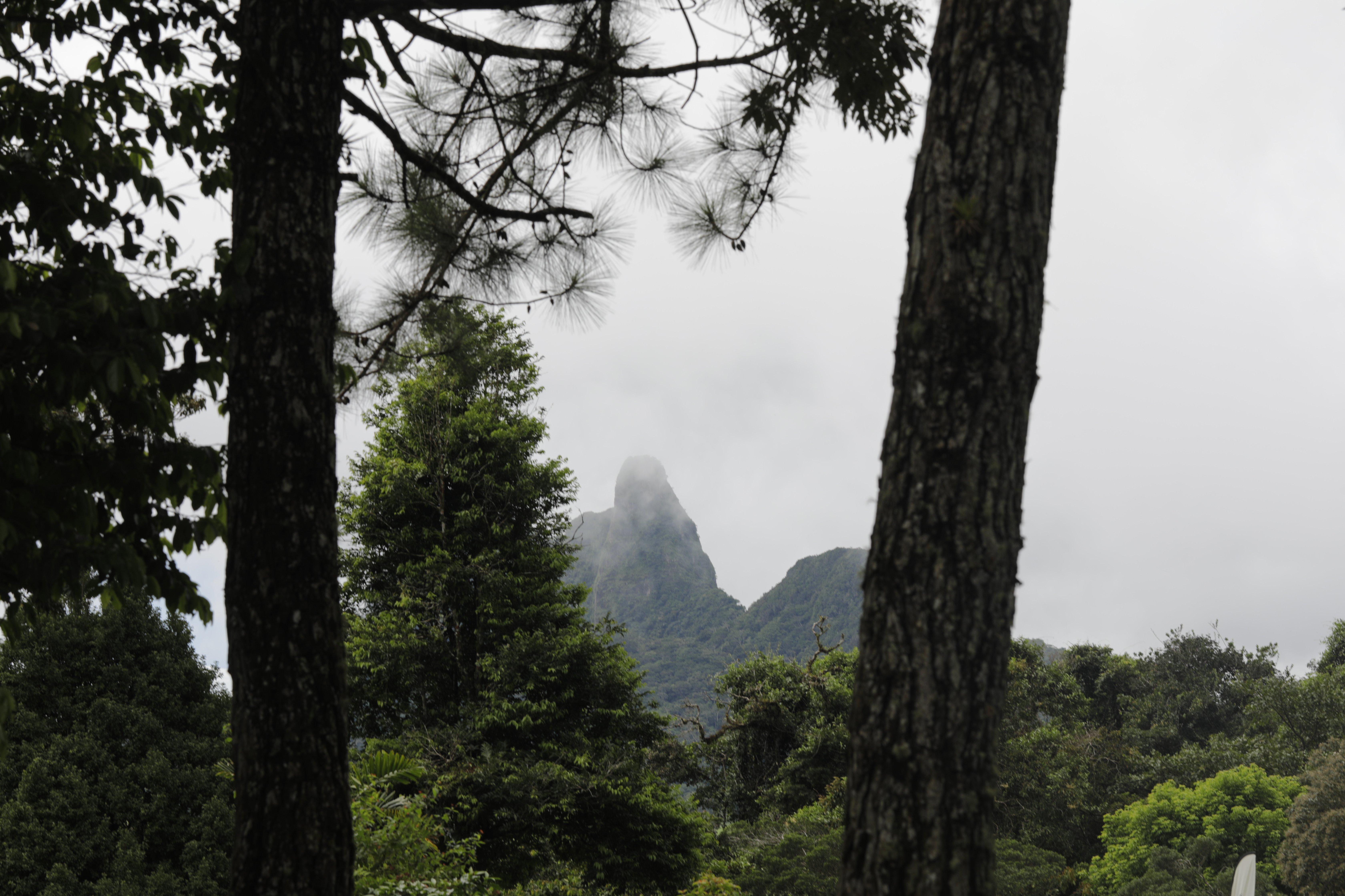 The Climate in Panama - A Expat Guide