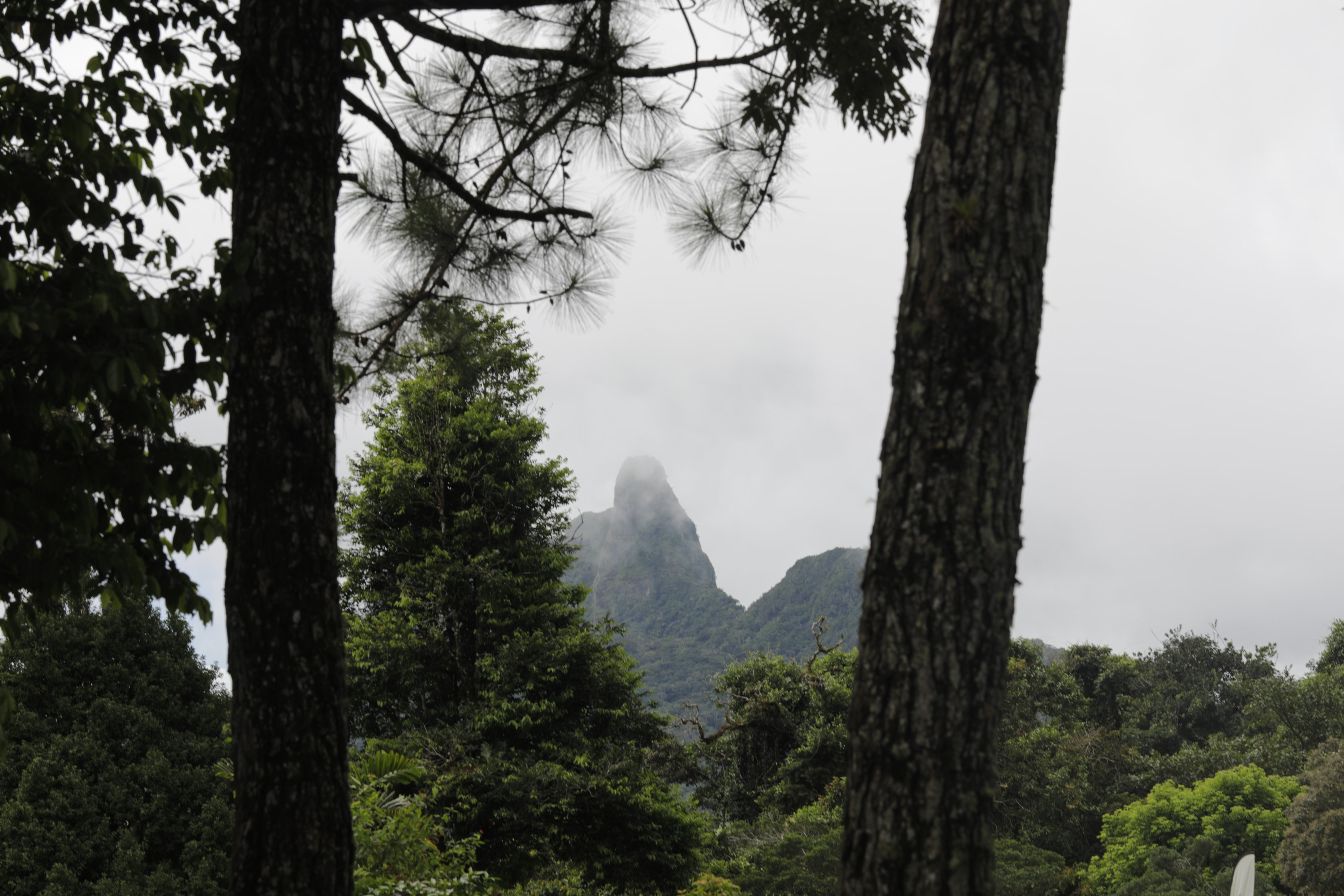 The Climate in Panama - A Expat Guide