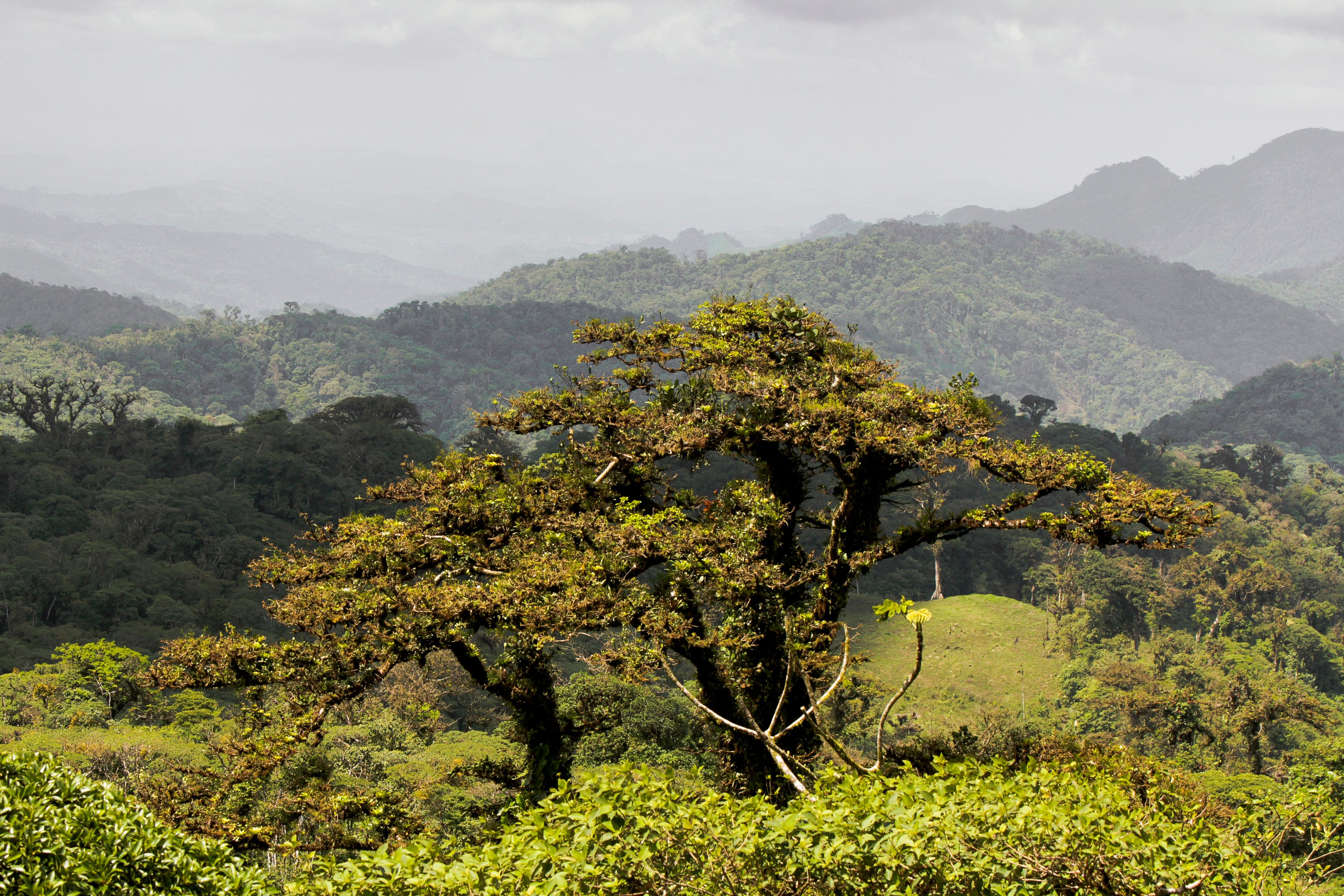 The Climate in Panama - A Expat Guide